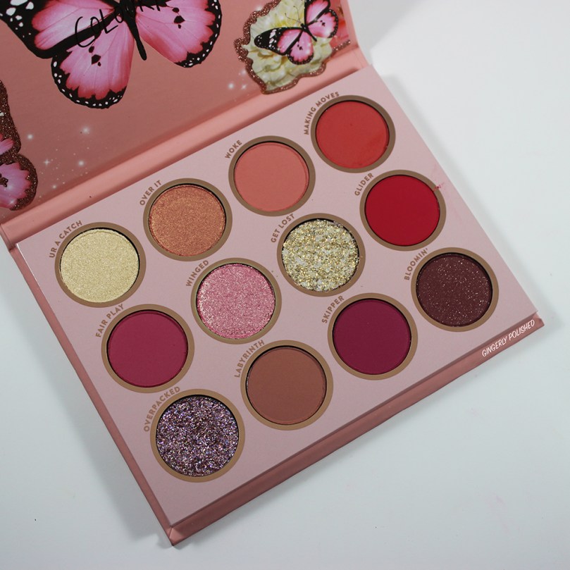 Colourpop Gimme Butterflies Palette Swatches & Review – GINGERLY POLISHED