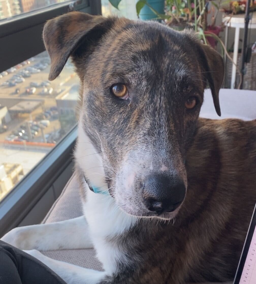 OPI ‘OPI Your Way’ Spring 2024 Collection – Swatches & Review ...